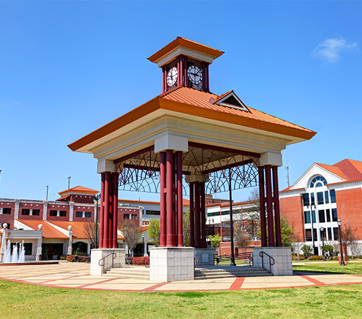 Our Hotel | The Alamite